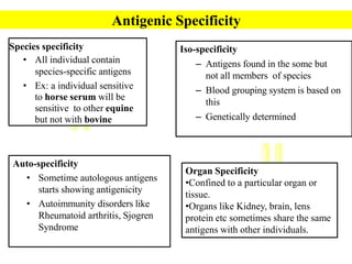 Antigens & Antibodies- All you have to know | PPTX