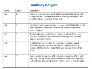 Antigen & Antibody.pptx role in immune systems | PPT
