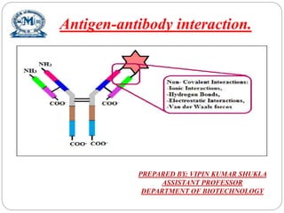Antigen antibody interaction .pptx 1 | PPTX
