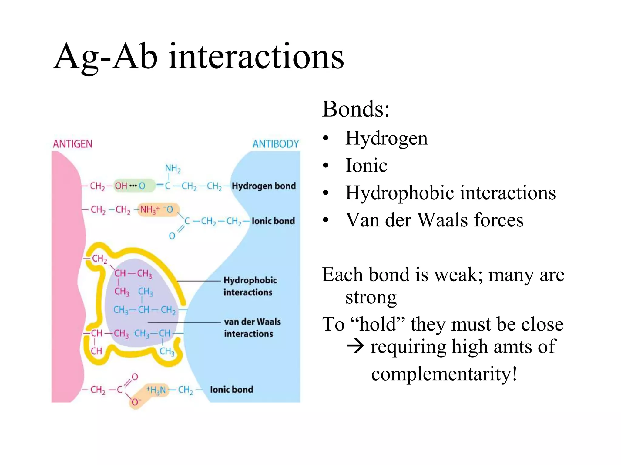 Antigen antibody interaction | PPT