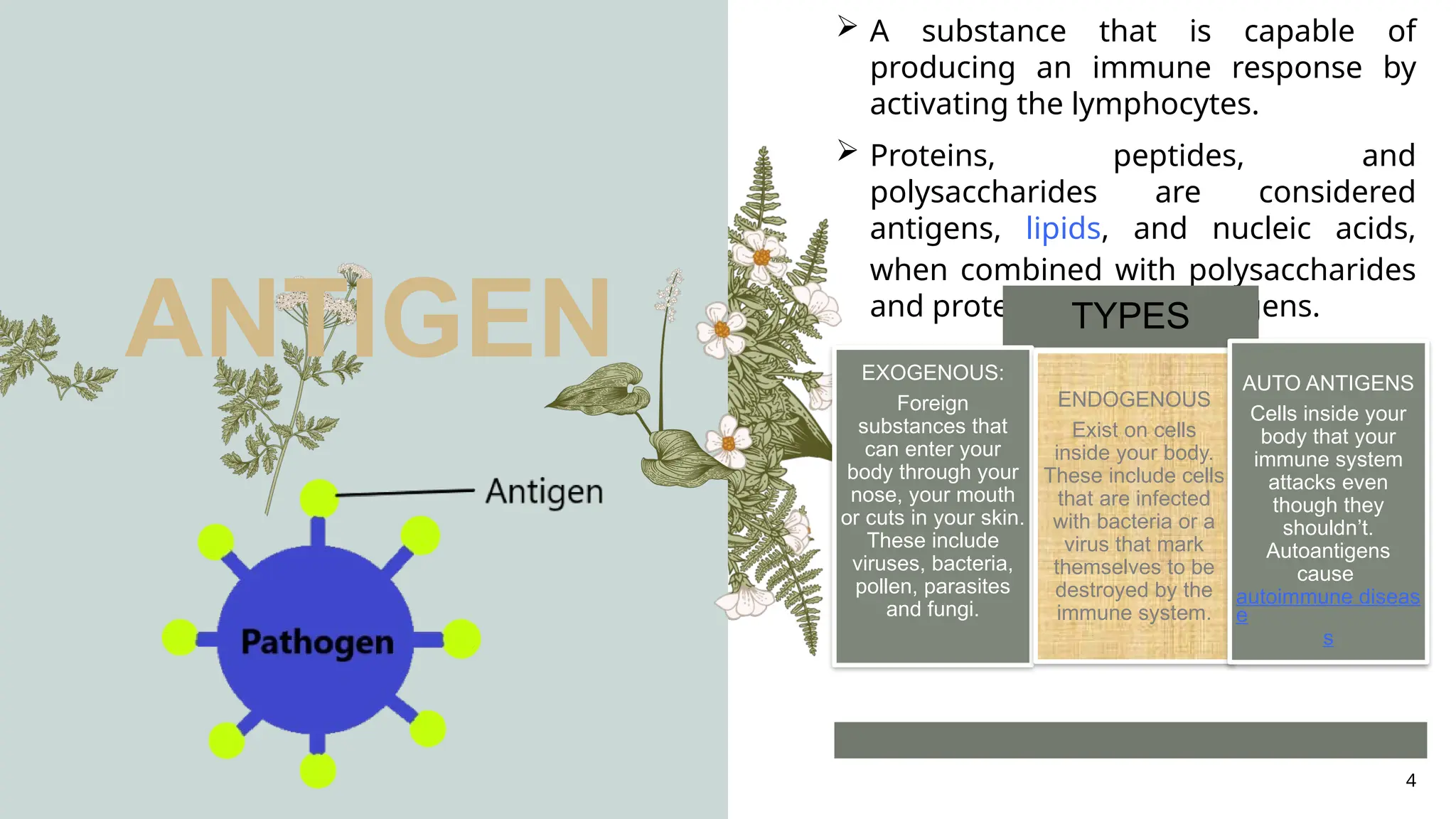 ANTIGEN ANTIBODY INTERACTION IN IMMUNOLOGY | PPTX