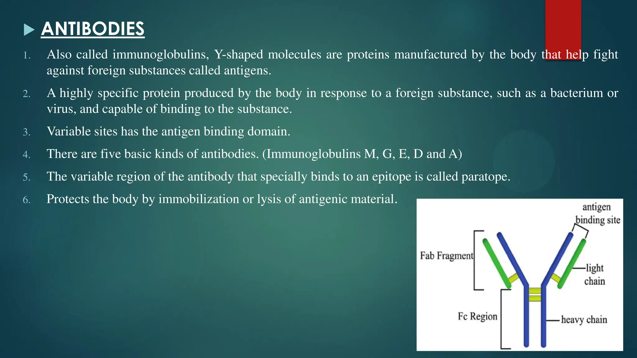 Antigen Antibody Interaction-III.pdf it and immunity mechanism | PDF