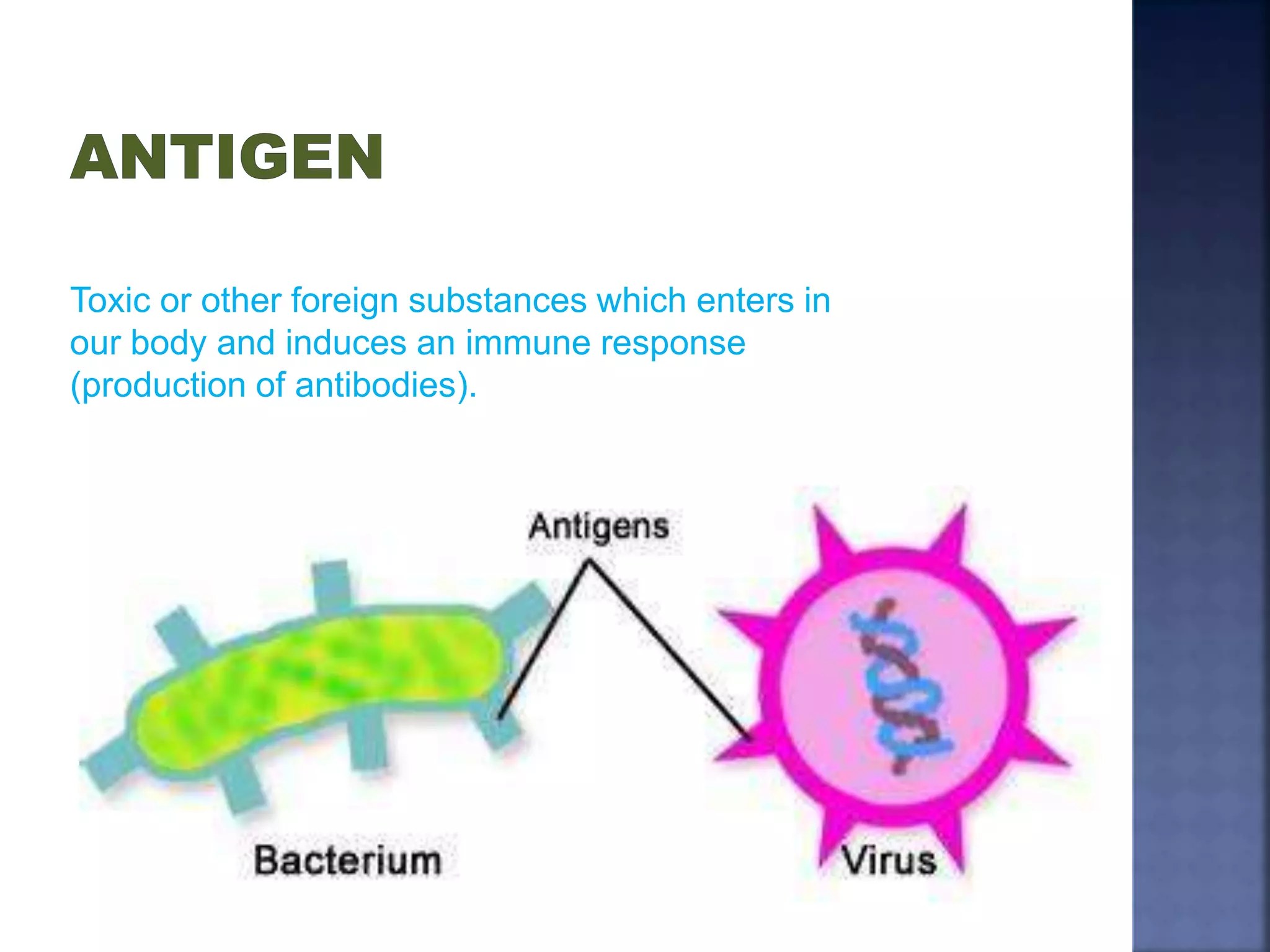 Antigen Antibody Interaction | PPT