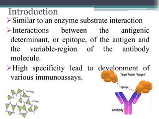 Antigen Antibody Interactions | PPT