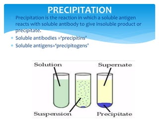 Antigen antibody interactions | PPT