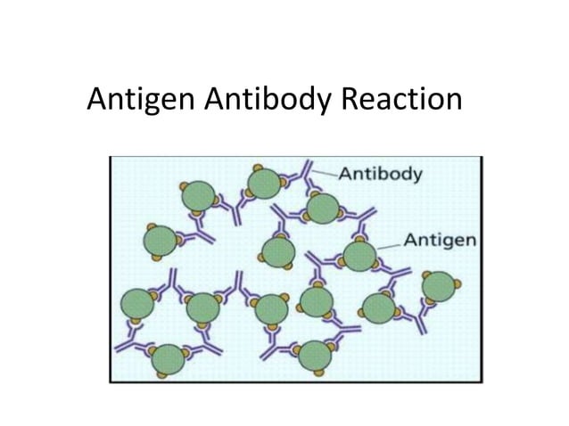 Antigen Antibody Reaction-2.pptx