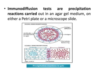 Antigen Antibody Reaction-2.pptx