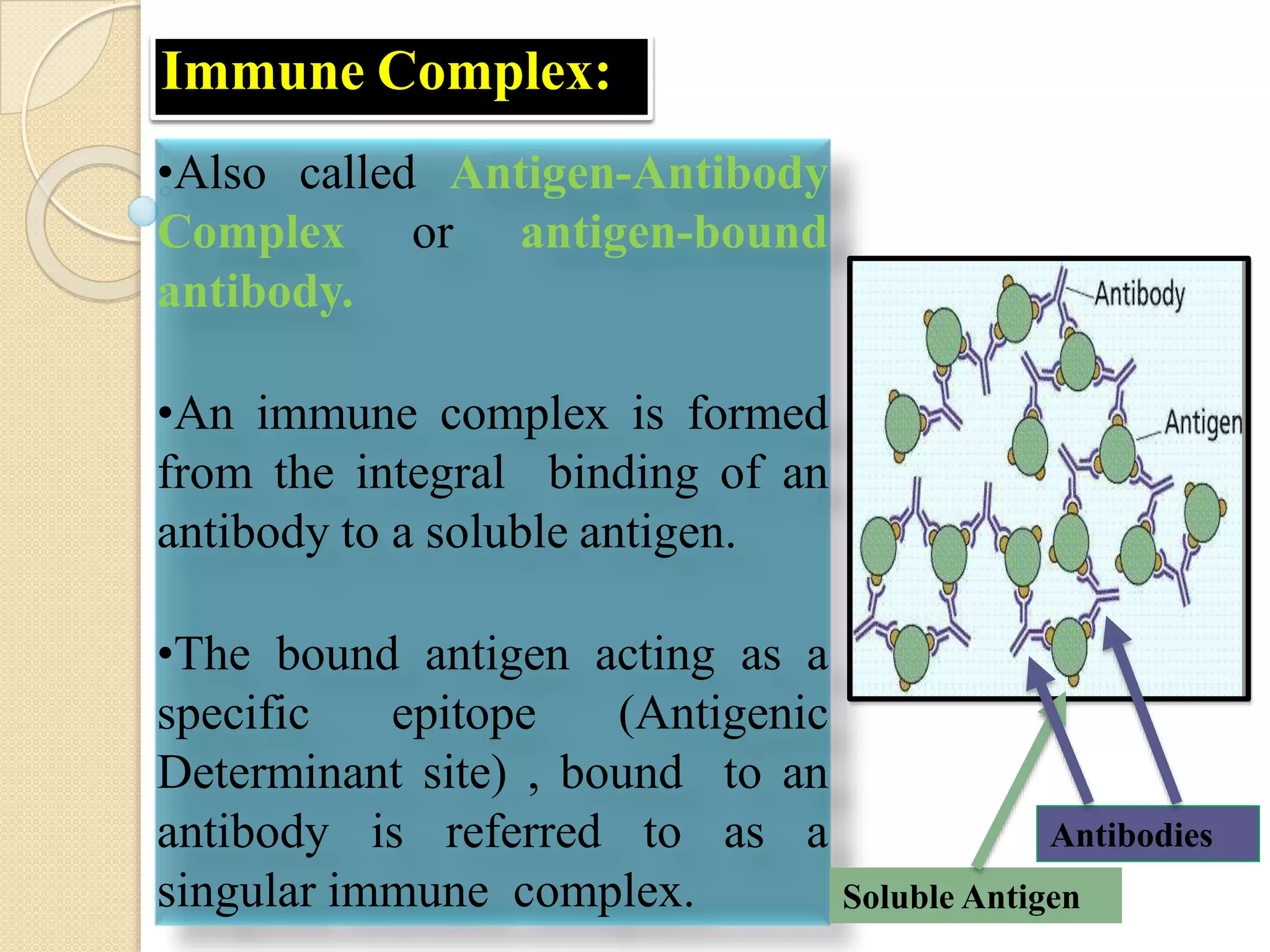 Antigen and Antibody Reaction | PPTX