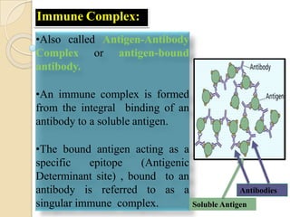 Antigen and Antibody Reaction | PPTX