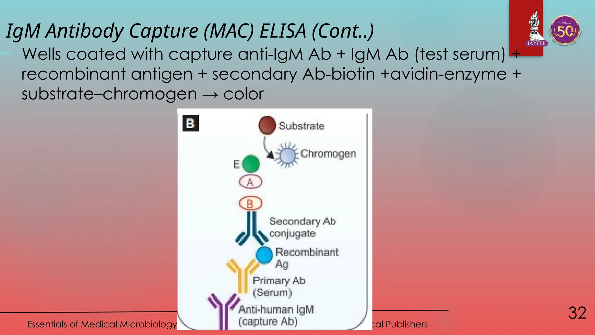 Antigen–Antibody Reaction power point presentation | PPTX