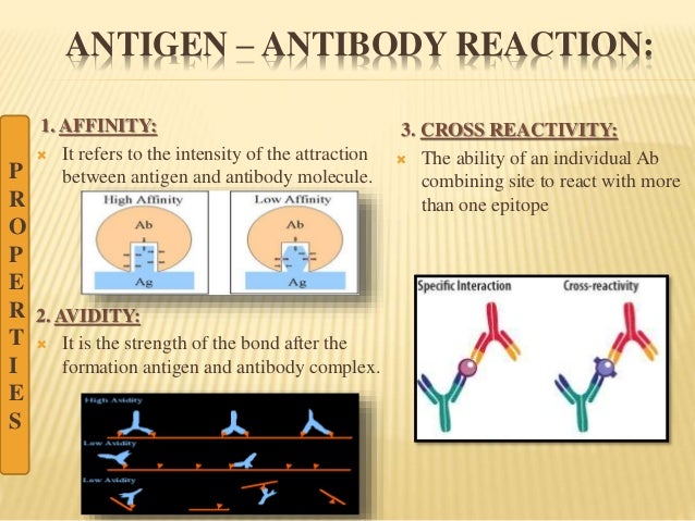 Antigen –antibody reaction (Part :01)