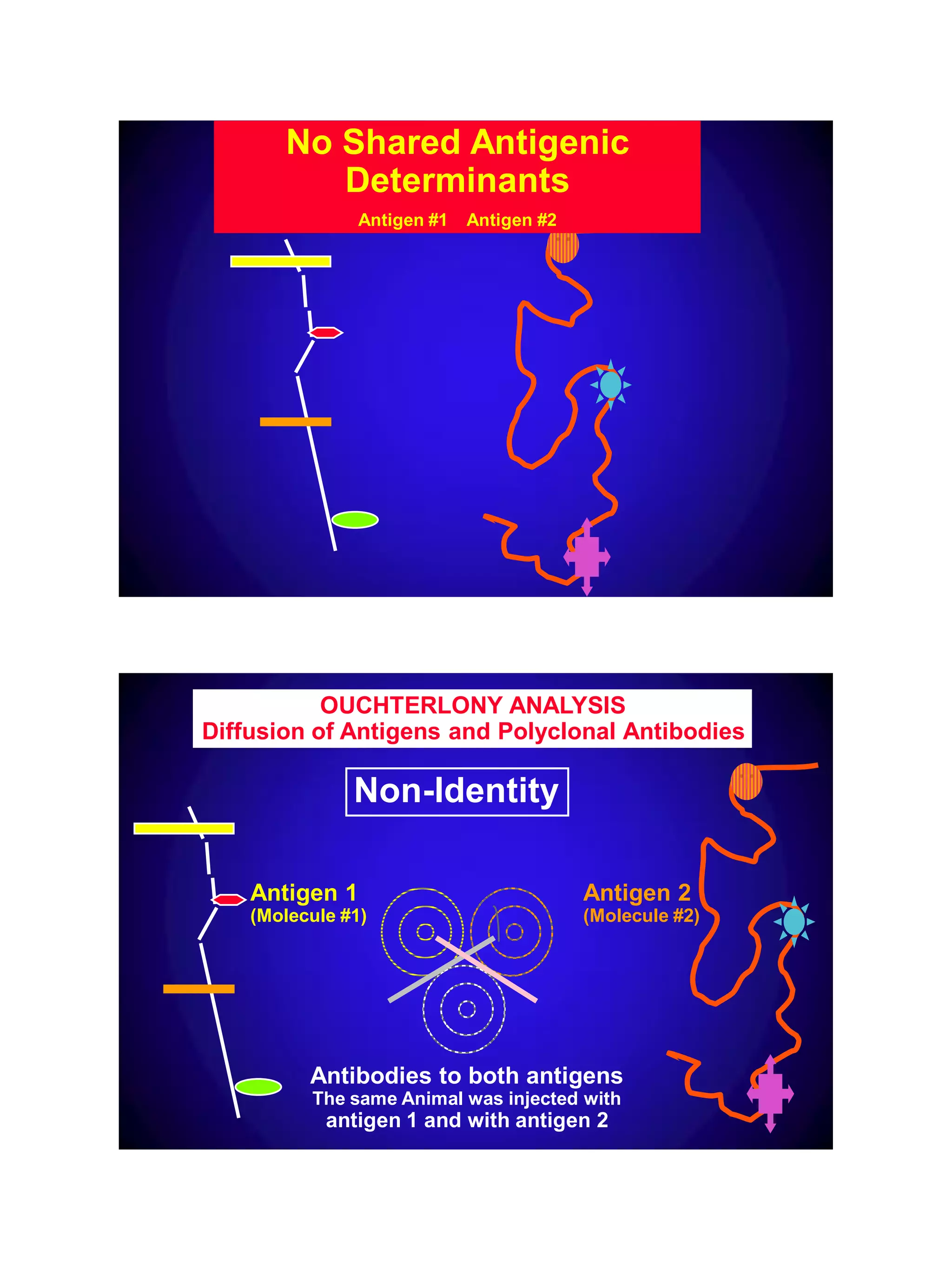 Antigen antibody reaction mahadi ppt | PDF | Chemistry | Science