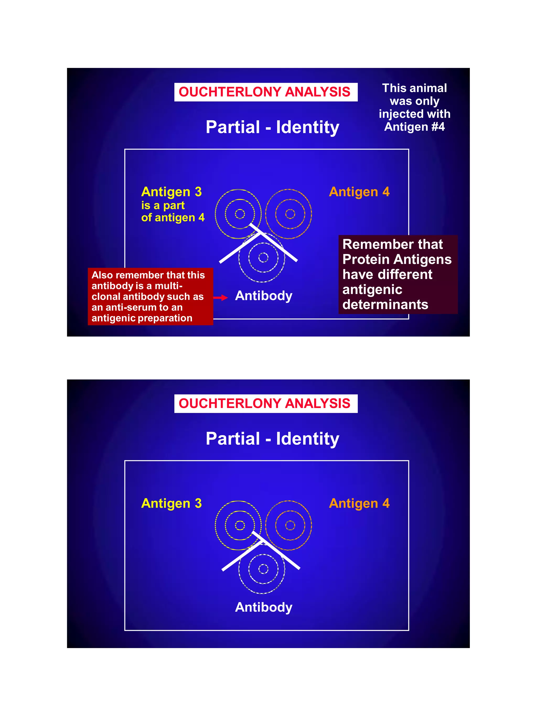 Antigen antibody reaction mahadi ppt | PDF | Chemistry | Science