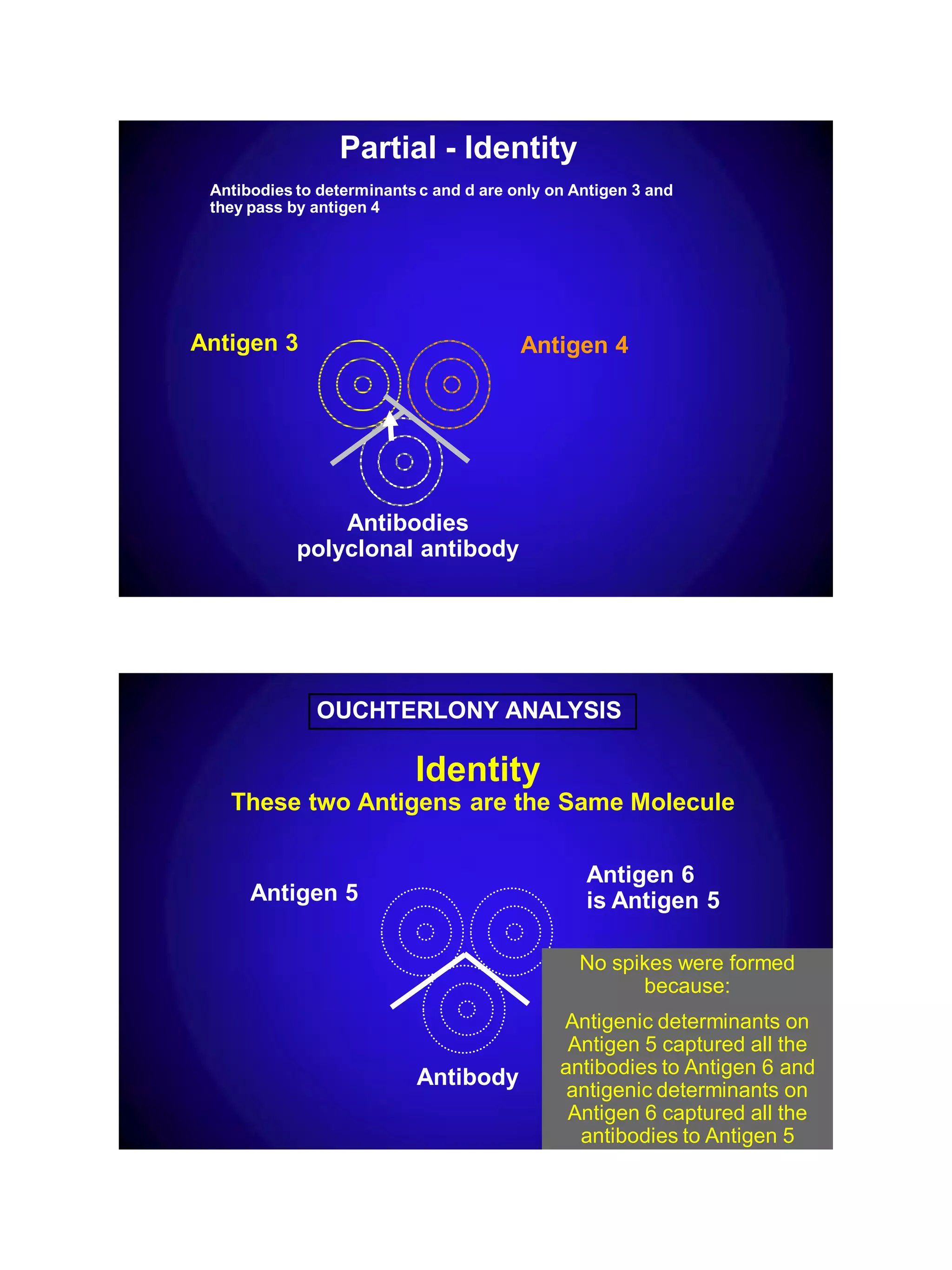 Antigen antibody reaction mahadi ppt | PDF