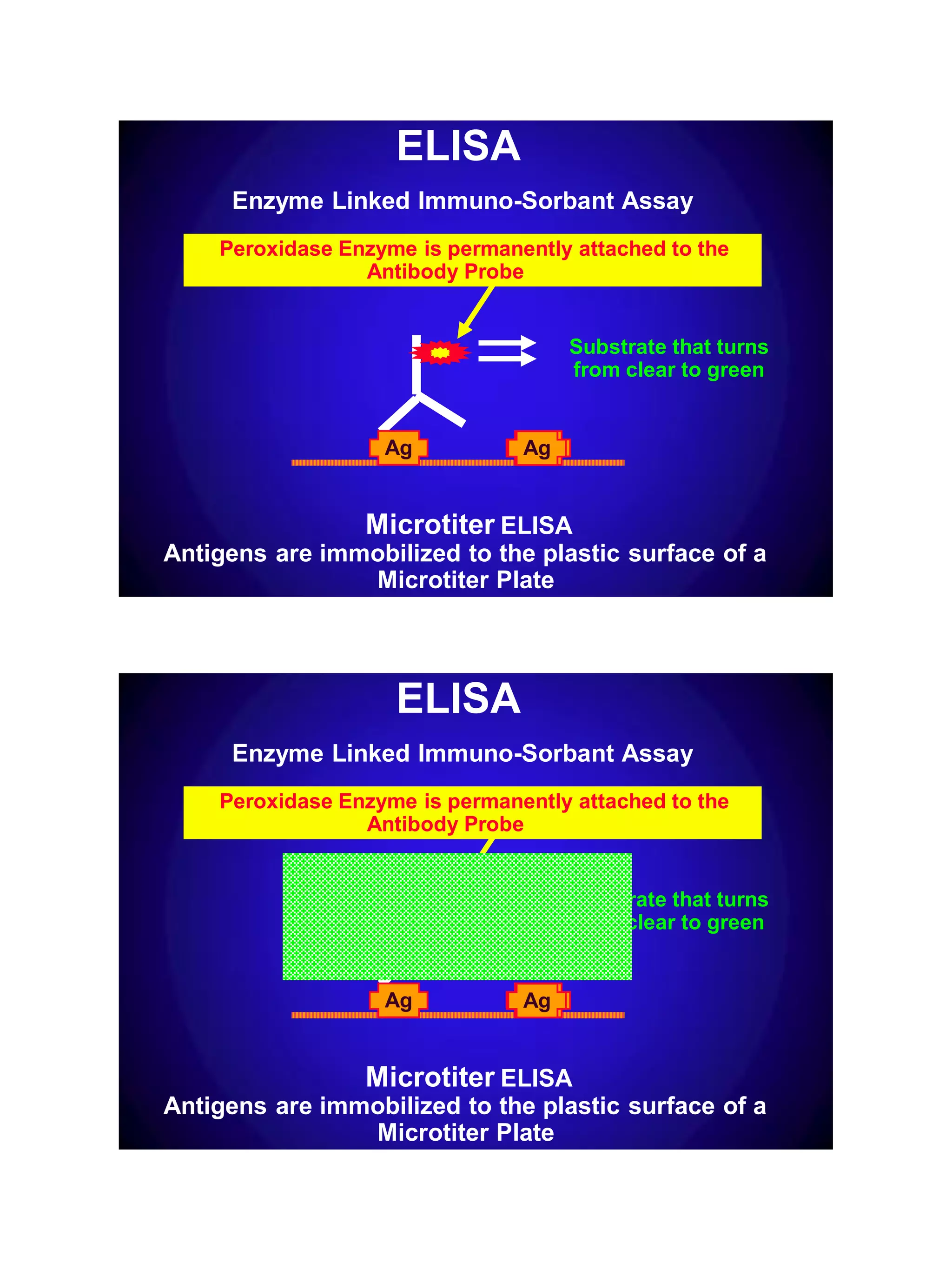 Antigen antibody reaction mahadi ppt | PDF | Chemistry | Science