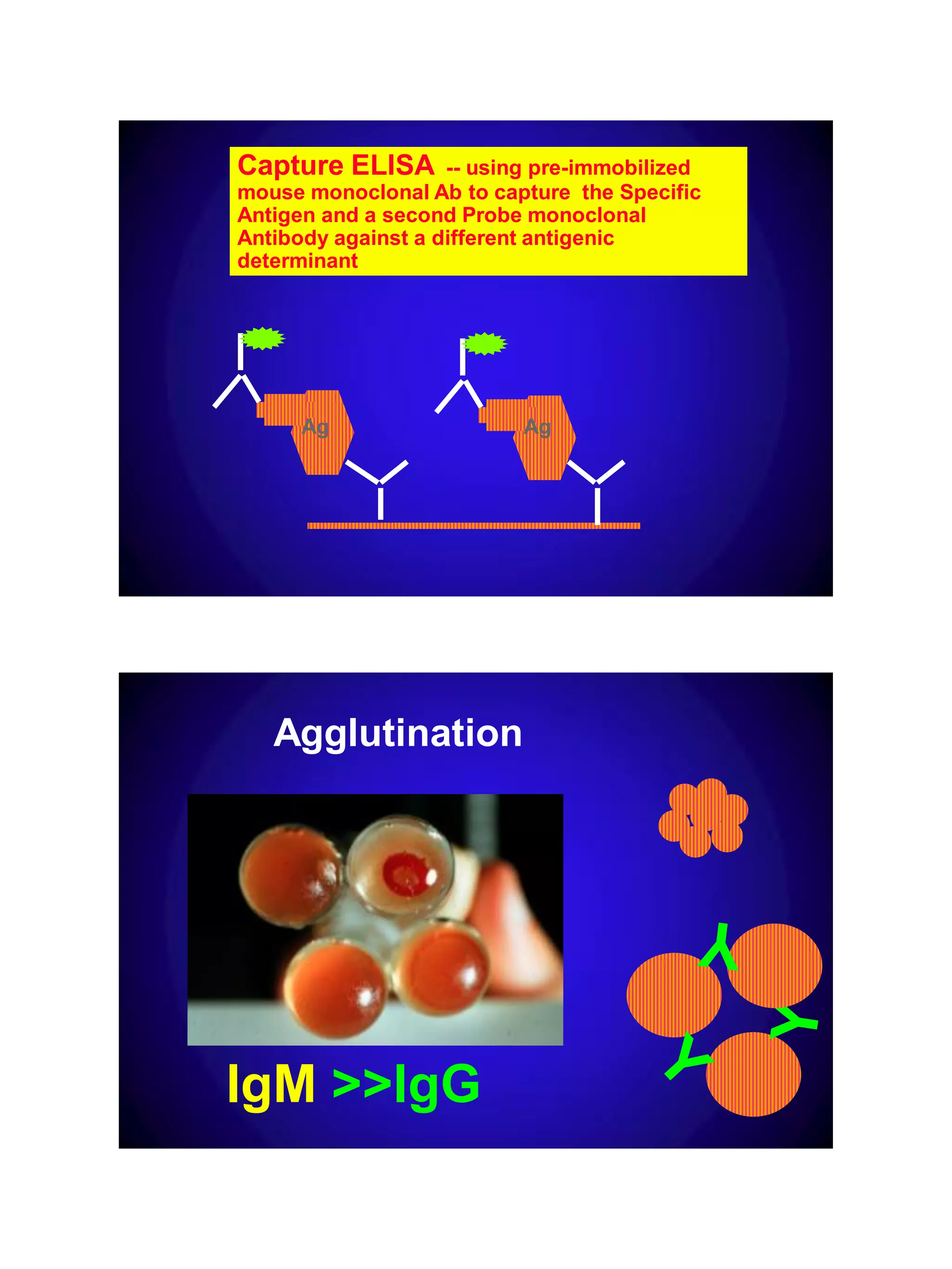 Antigen antibody reaction mahadi ppt | PDF | Chemistry | Science