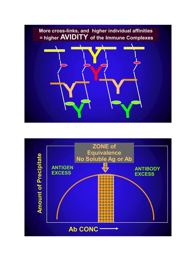 Antigen antibody reaction mahadi ppt | PDF