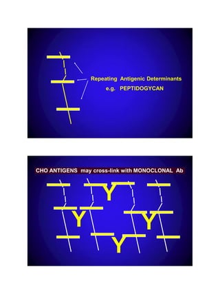 Antigen antibody reaction mahadi ppt | PDF | Chemistry | Science