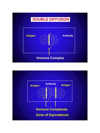 Antigen antibody reaction mahadi ppt | PDF | Chemistry | Science