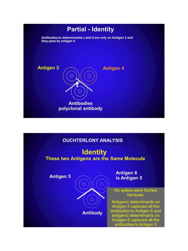 Antigen antibody reaction mahadi ppt | PDF | Chemistry | Science