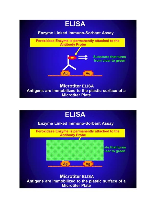 Antigen antibody reaction mahadi ppt | PDF | Chemistry | Science