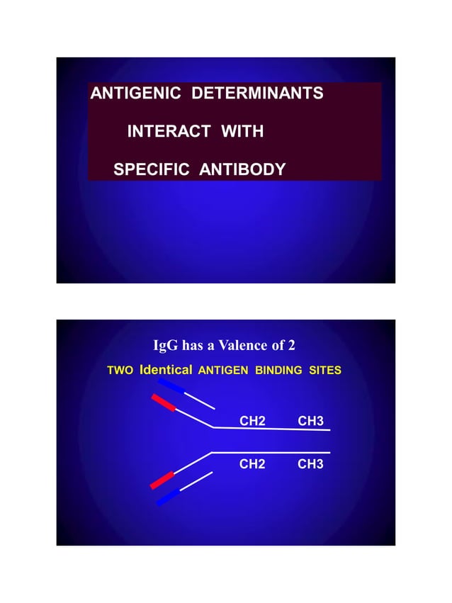 Antigen antibody reaction mahadi ppt | PDF | Chemistry | Science
