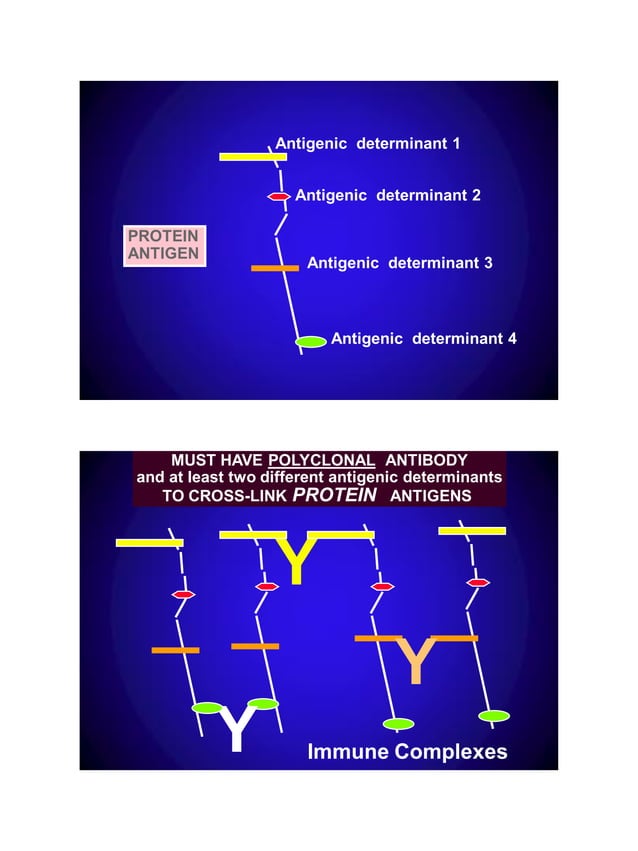 Antigen antibody reaction mahadi ppt | PDF | Chemistry | Science