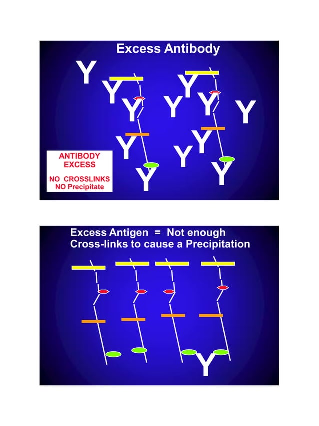Antigen antibody reaction mahadi ppt | PDF | Chemistry | Science