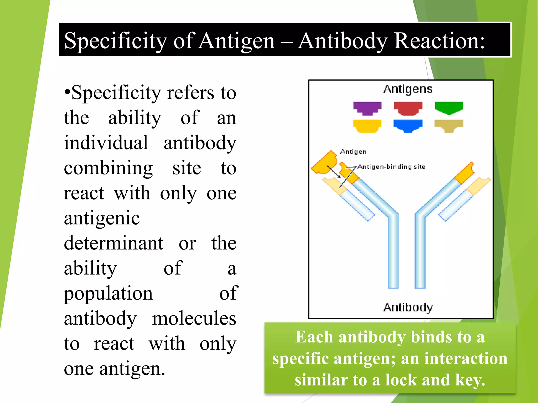 Antigen antibody reactions | PPTX
