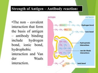 Antigen antibody reactions | PPTX