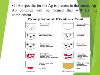 Antigen antibody reactions | PPTX