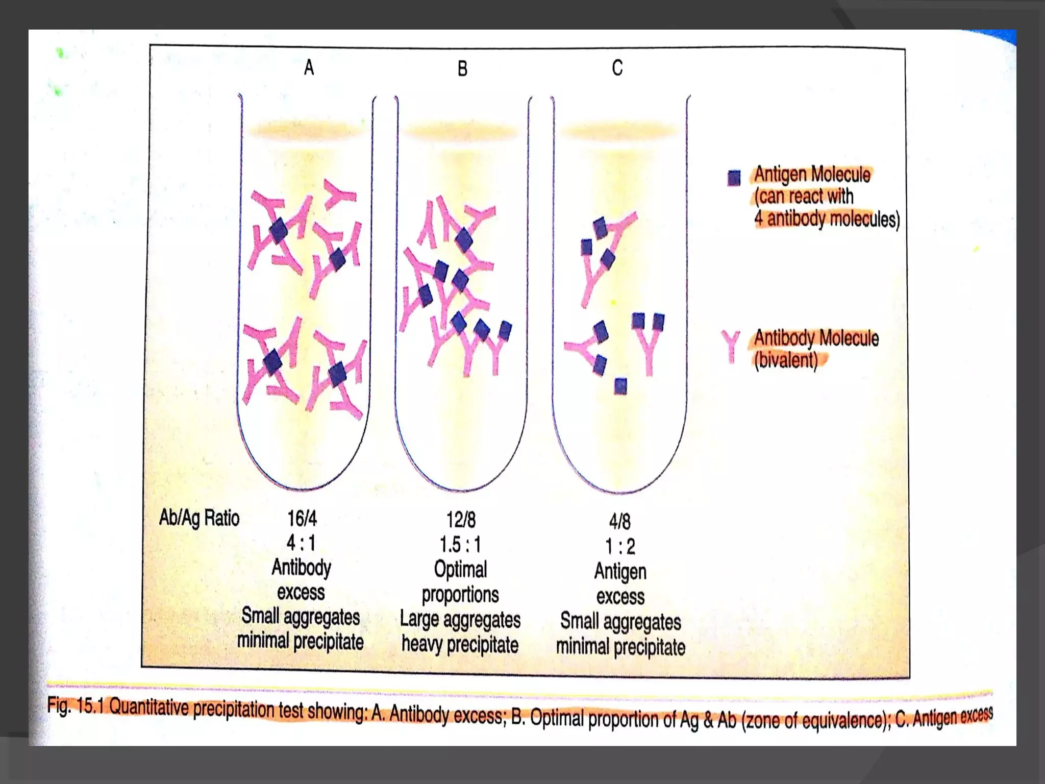 Antigen antibody reactions | PPT