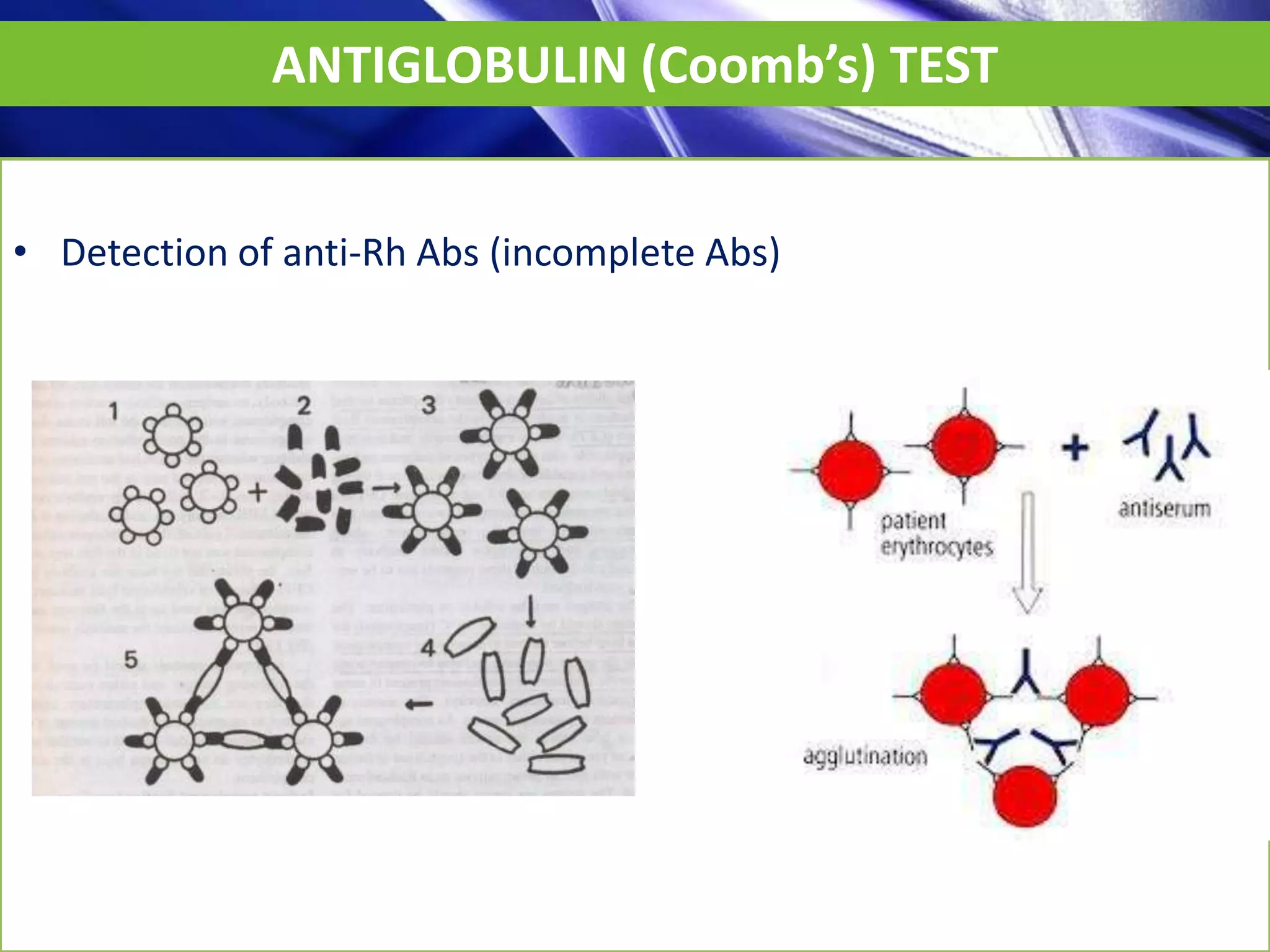 Antigen Antibody Reactions.pptx