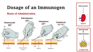 Antigen & antigenicity | PDF