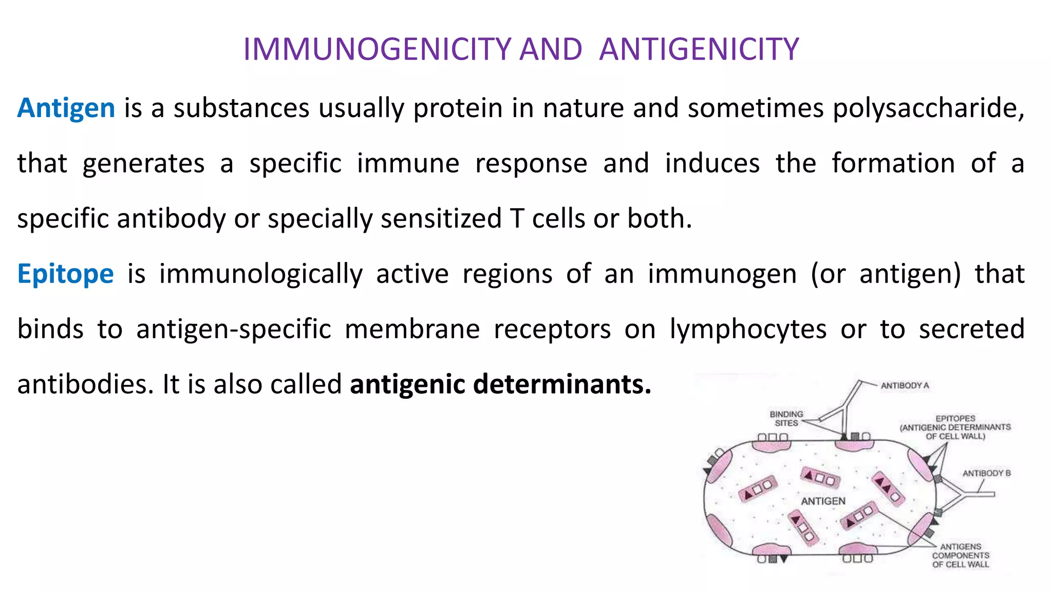 Antigenecity and Immunogenecity.pptx