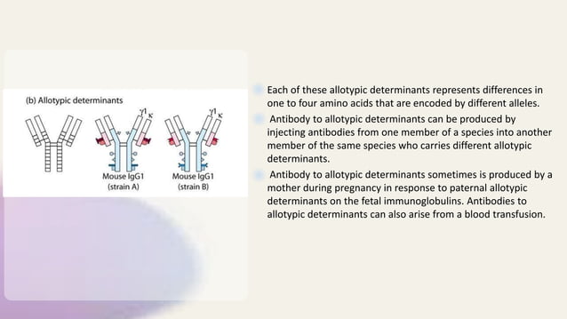 Antigenic determinants | PPTX
