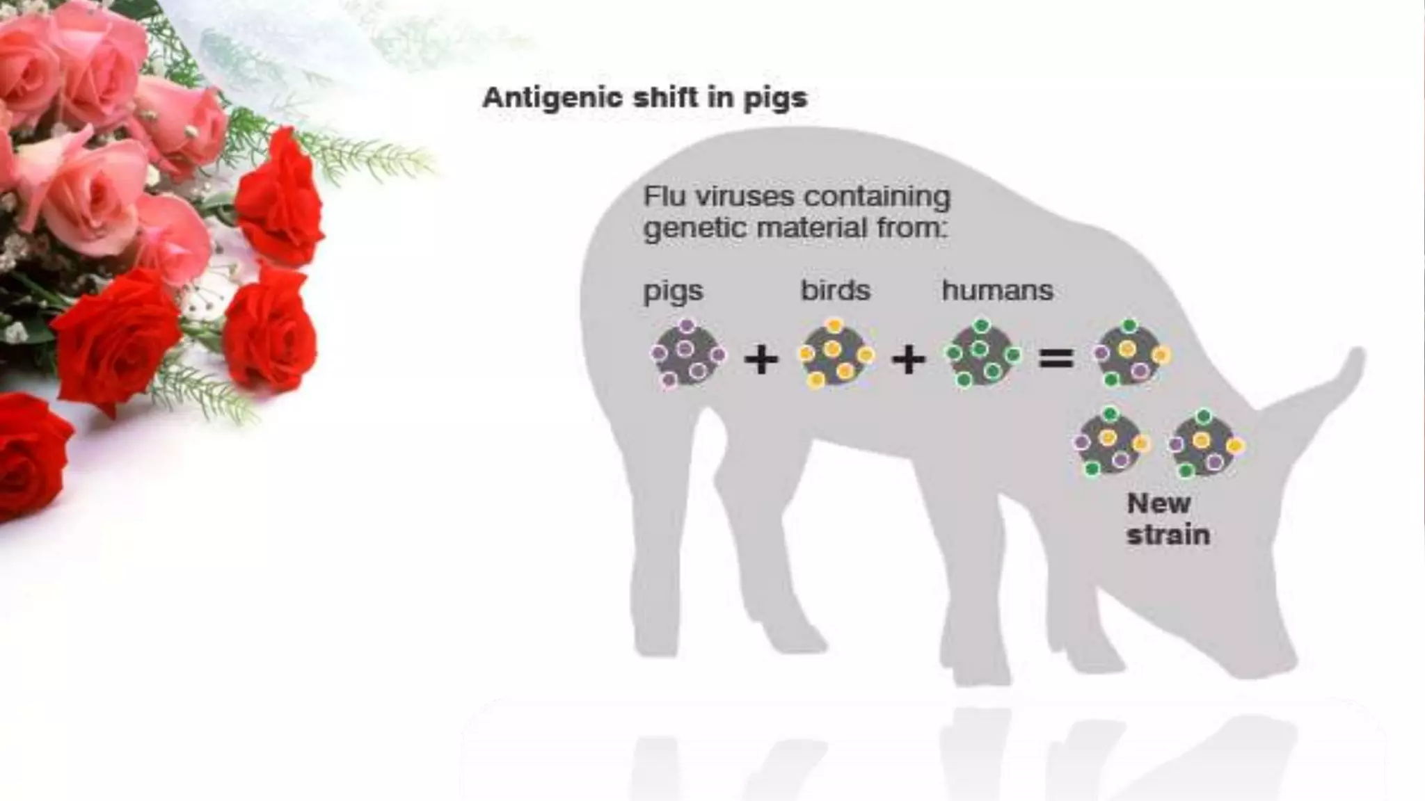 Antigenic shift and drift | PPTX