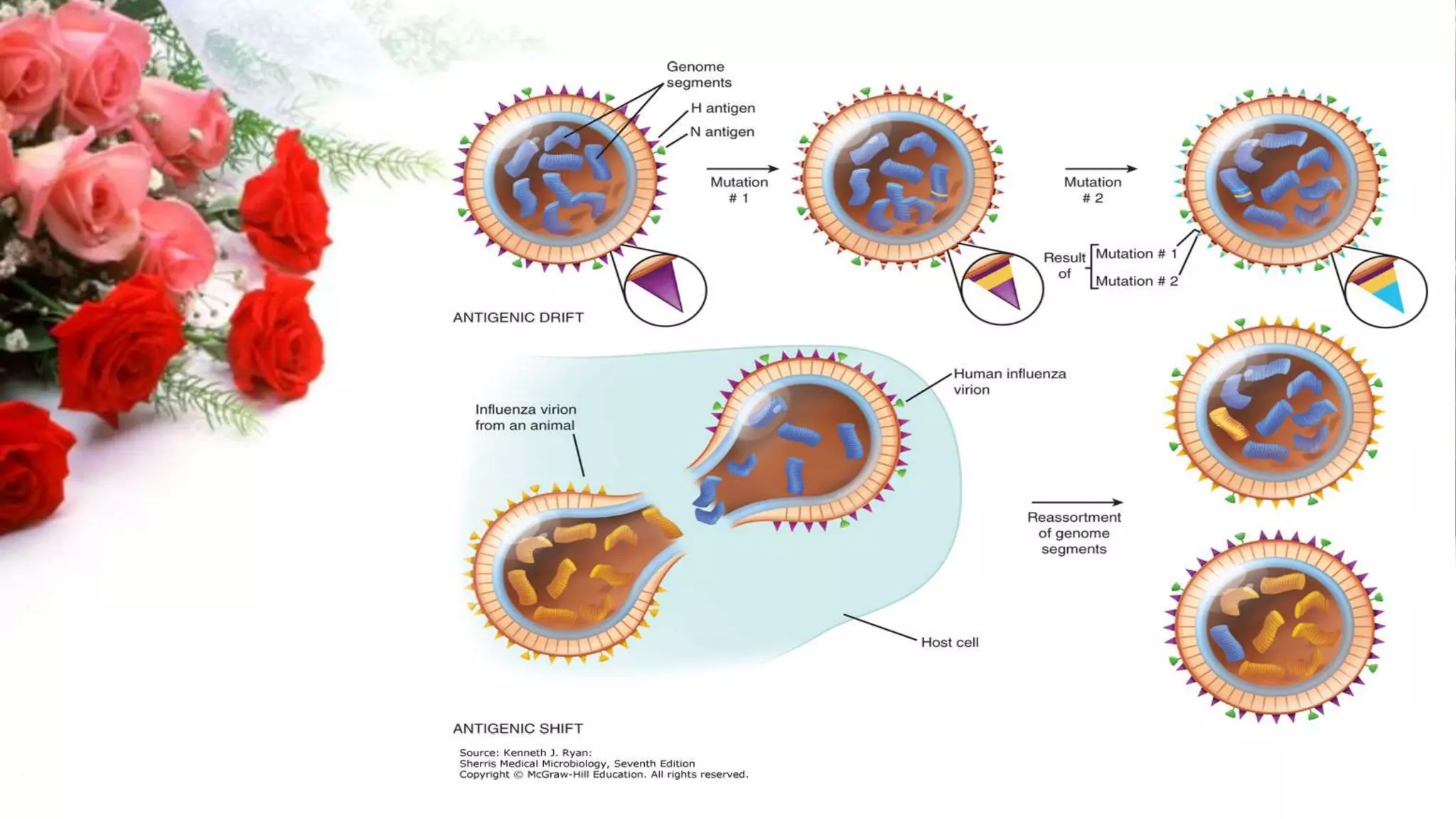 Antigenic shift and drift | PPTX