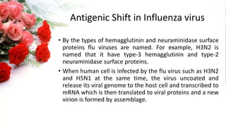 Antigenic shift and drift | PPTX