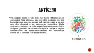 Antigeno, anticuerpo y inmunoblobulina.ppt