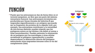 Antigeno, anticuerpo y inmunoblobulina.ppt