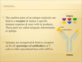 Antigen original 2025.pptx immunology lecture | PPTX