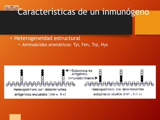 Antigenos | PDF