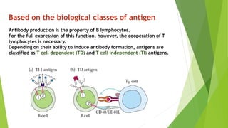 Antigen .pptx