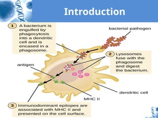 Antigen preseneting and processiong.pptx