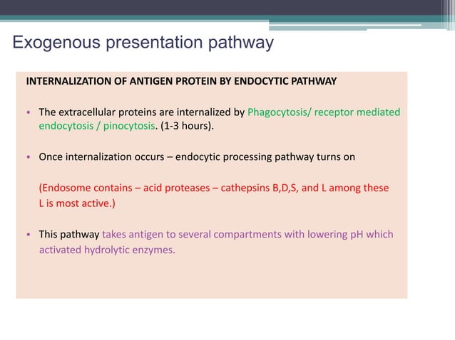 Exogenous Antigen Presentation and Processing.pptx