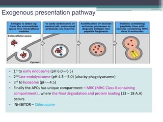 Exogenous Antigen Presentation and Processing.pptx
