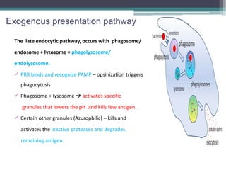 Exogenous Antigen Presentation and Processing.pptx