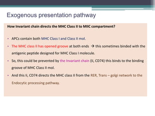 Exogenous Antigen Presentation and Processing.pptx