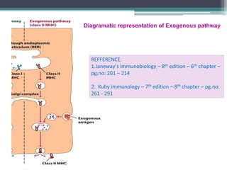 Exogenous Antigen Presentation and Processing.pptx